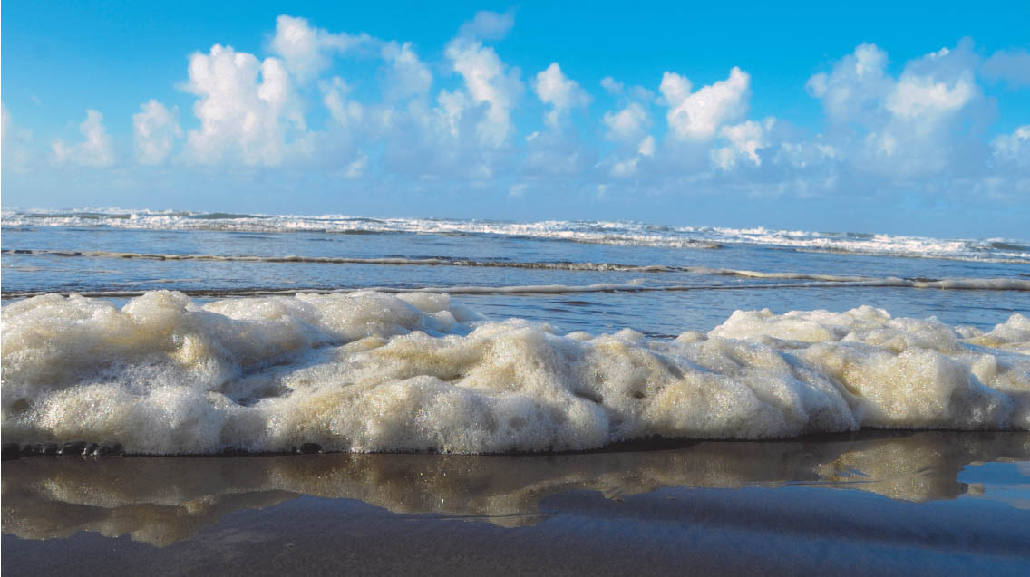 Sea Foam - Seaside Aquarium | Seaside, Oregon